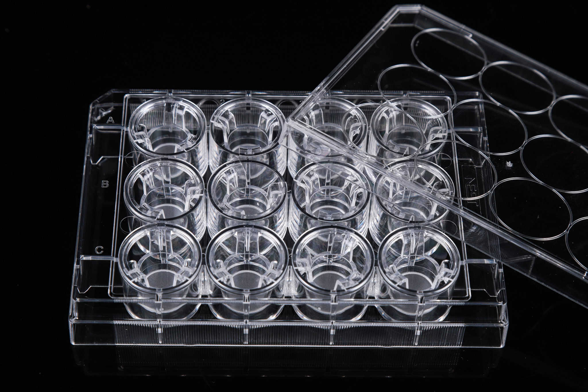 Shop - Cell Culture Collective