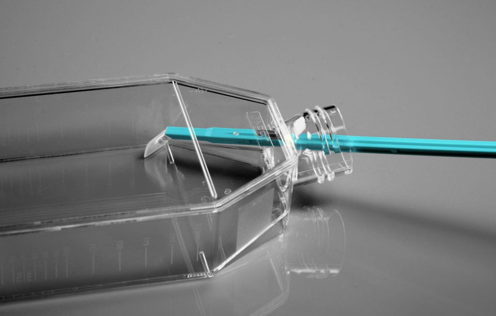 Cell Scrapers - Cell Culture Collective