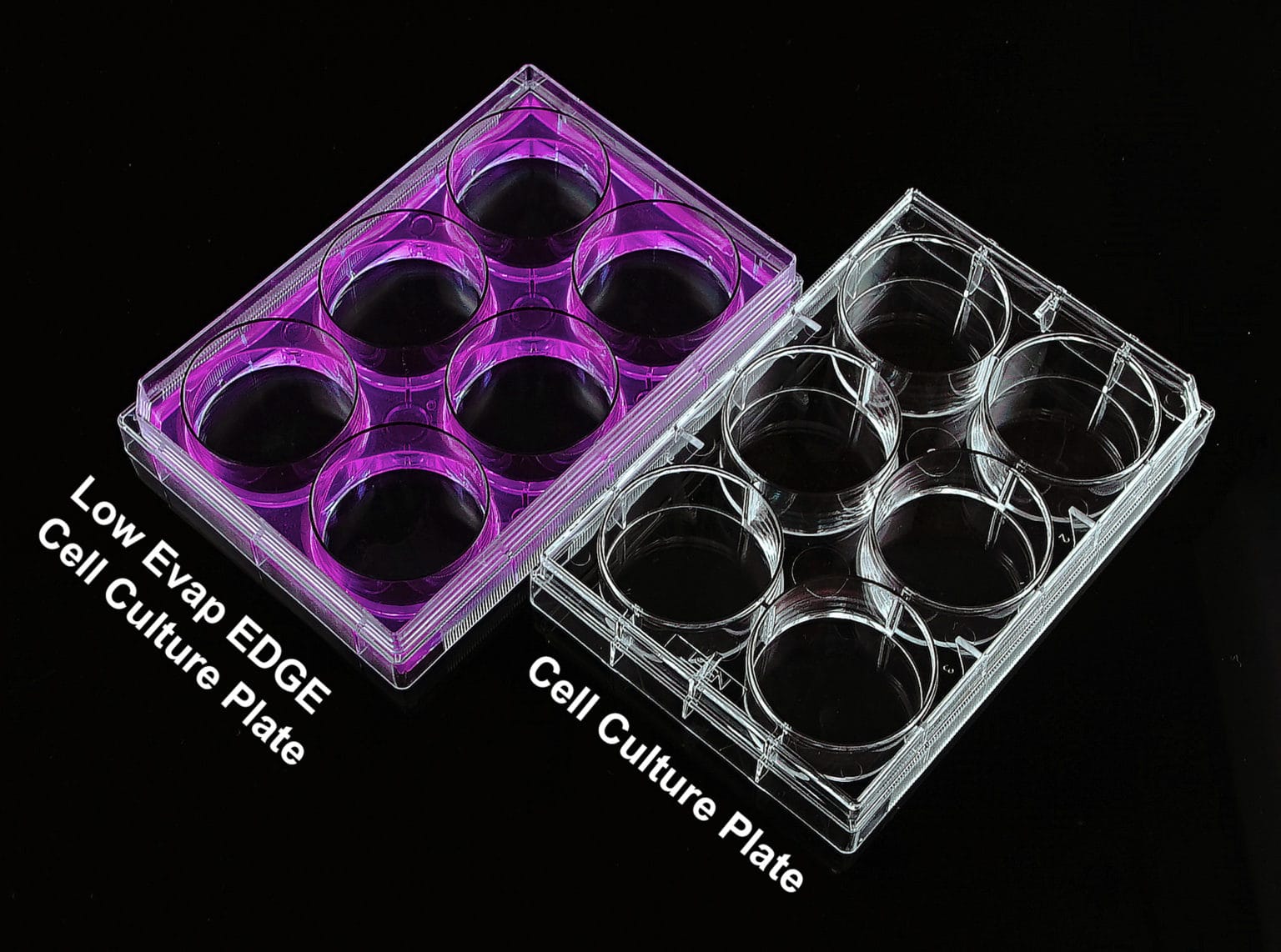 NEST® Low Evap EDGE Plates - Cell Culture Collective