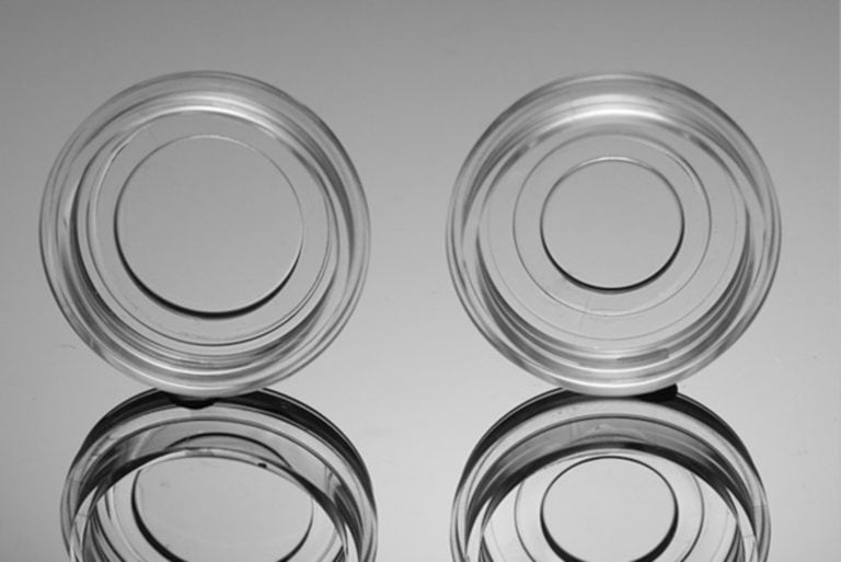 NEST® Cell Culture Dishes- Glass Bottom - Cell Culture Collective