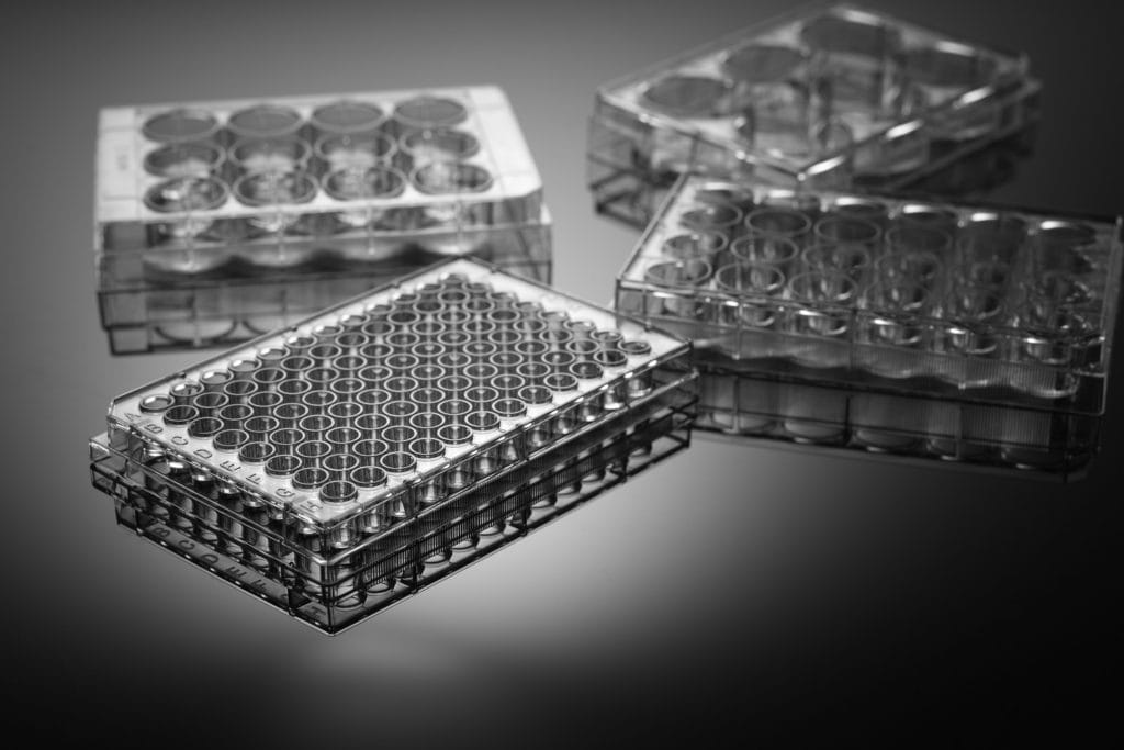 Pre-Coated Cell Culture Plates | Collagen, Gelatin, Fibronectin Options