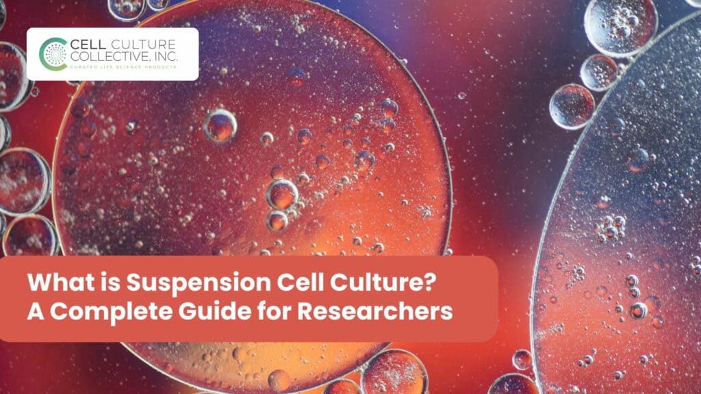 What is Suspension Cell Culture? A Complete Guide for Researchers ...