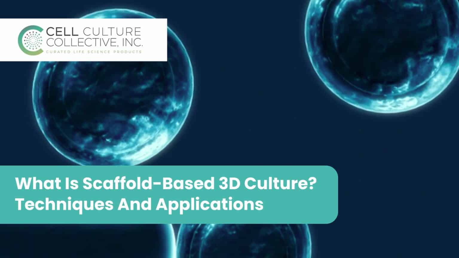 Scaffold-Based 3D Cell Culture Techniques Guide