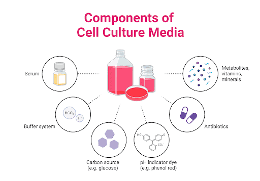 Understanding Cell Culture Media: Composition, Types, and Optimization - Cell Culture Collective