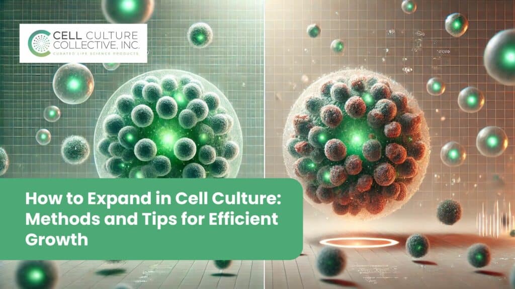 A Complete Guide to Circular Contamination in Cell Culture: Causes and ...