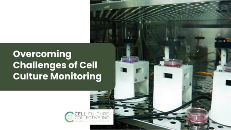 Understanding Cell Culture Media: Composition, Types, and Optimization ...