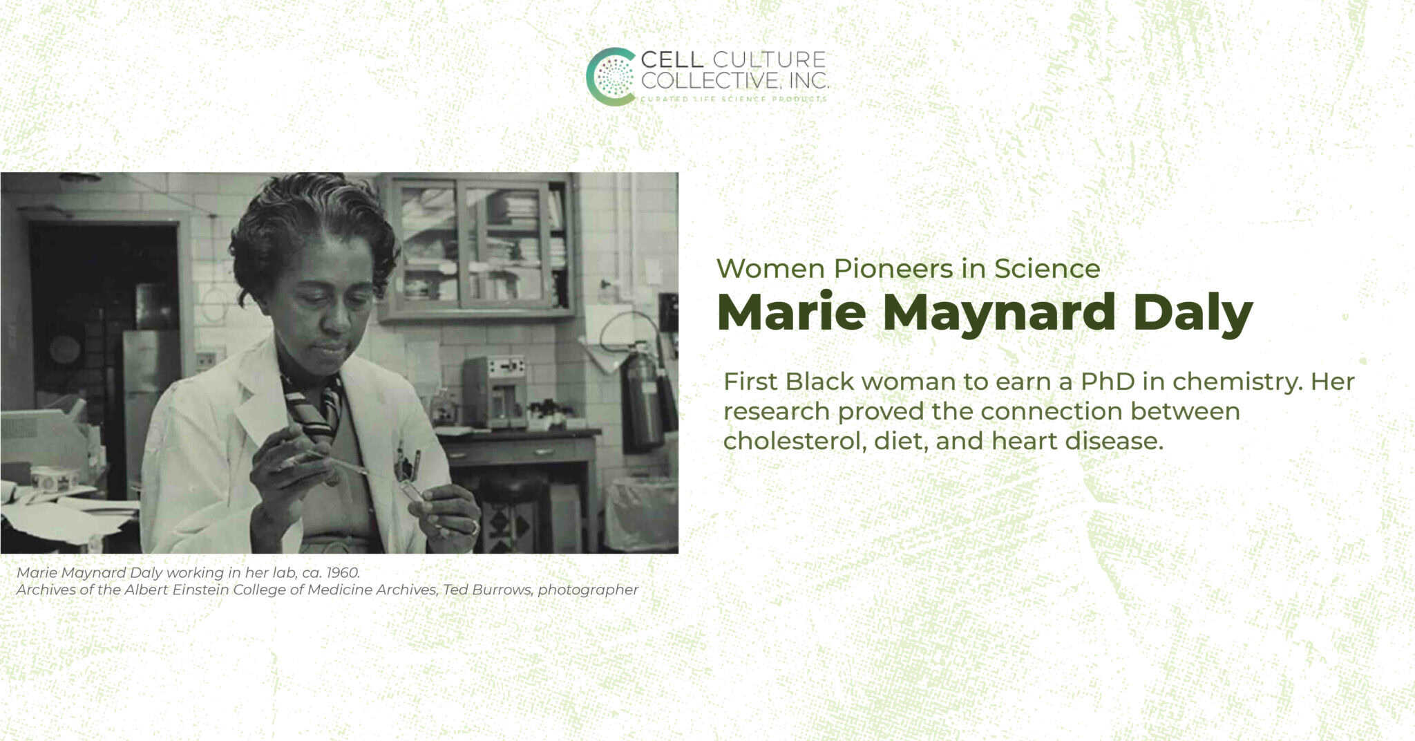 Women Pioneers in Science: Marie Maynard Daly - Cell Culture Collective